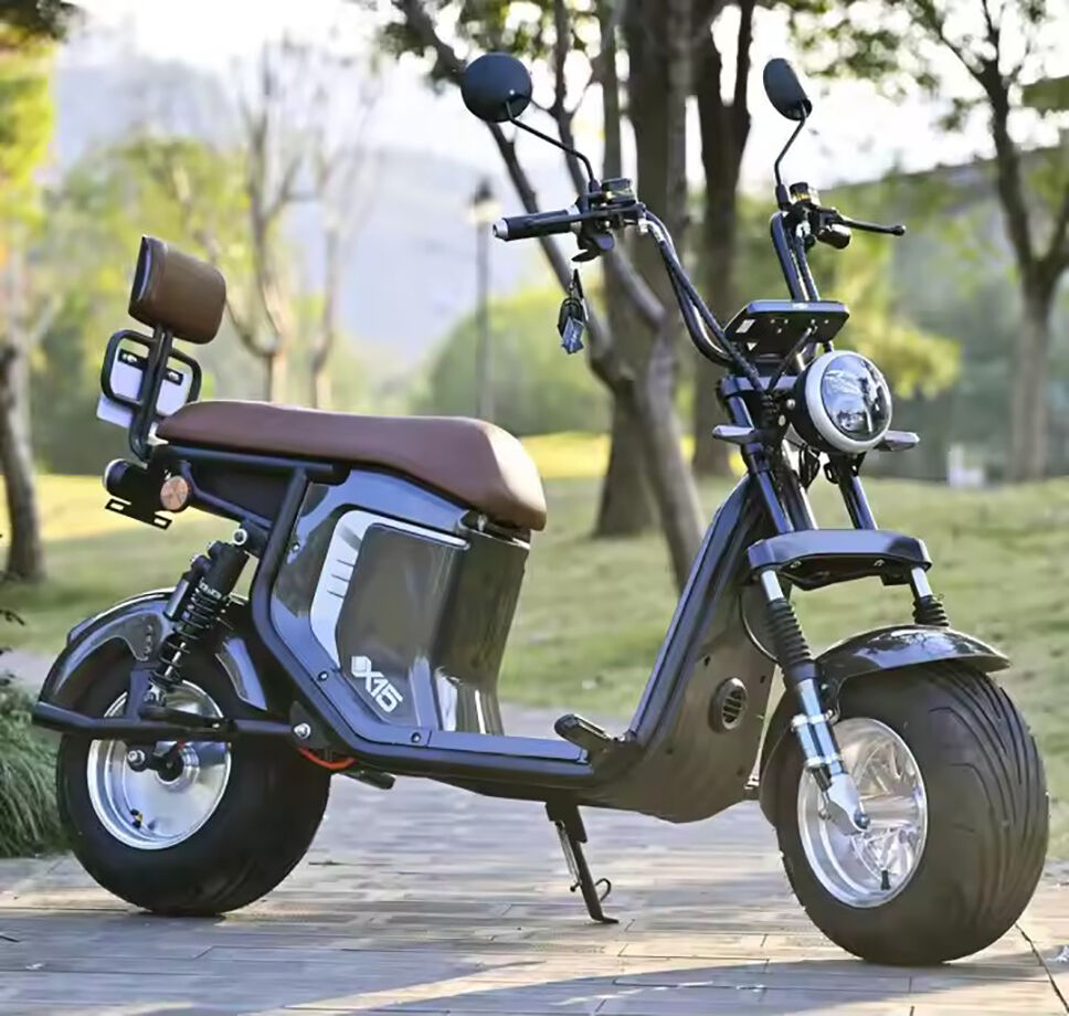 Citycoco 2000w 2 Wheel Electric Scooter Adult Brazil Market For Sale ...
