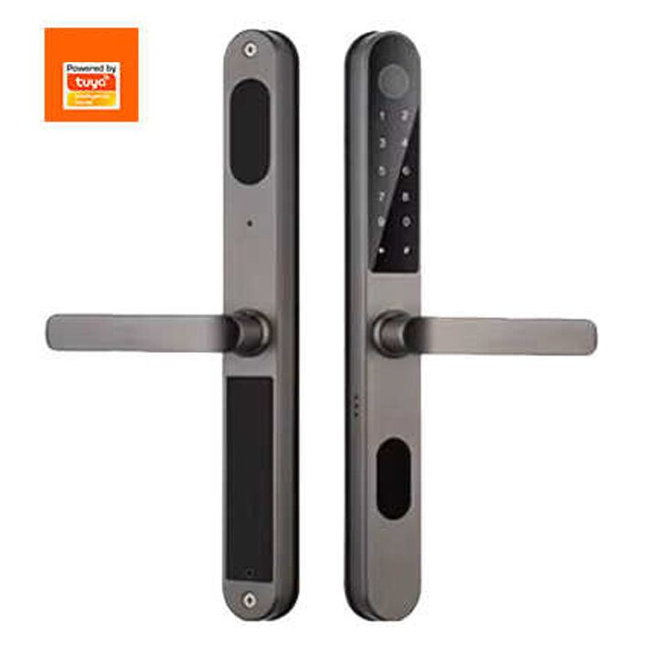 Fingerprint Ic Card Unlock Digital Smart Lock Arrow Side Lock Body 304 ...