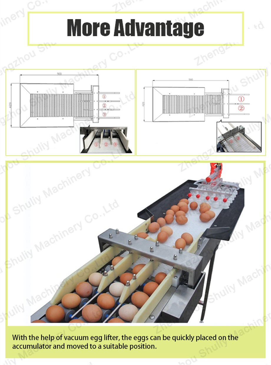 Automatic Egg Sorting Machine/egg Grading Machine/egg Processing Machine With Low Price, Egg ...