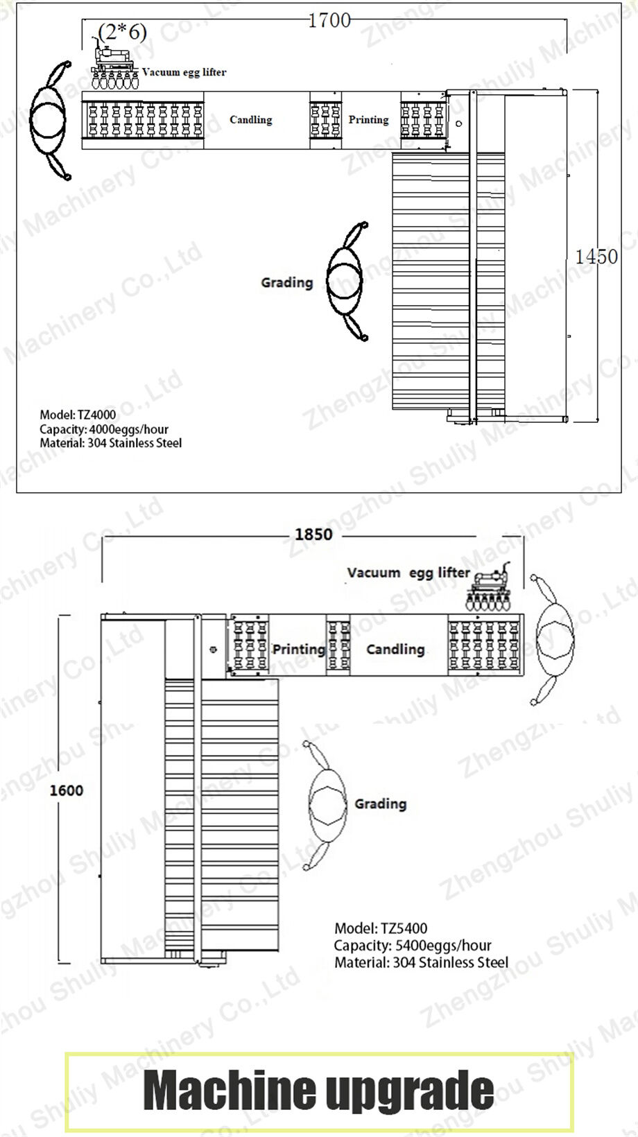 Automatic Egg Sorting Machine/egg Grading Machine/egg Processing Machine With Low Price, Egg ...