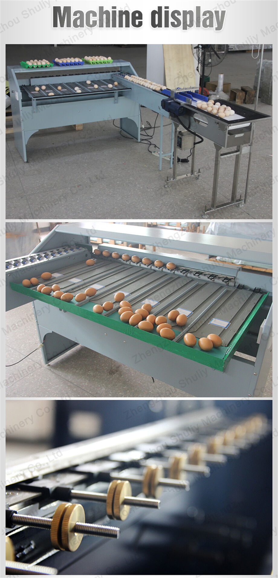 Automatic Egg Sorting Machine/egg Grading Machine/egg Processing ...