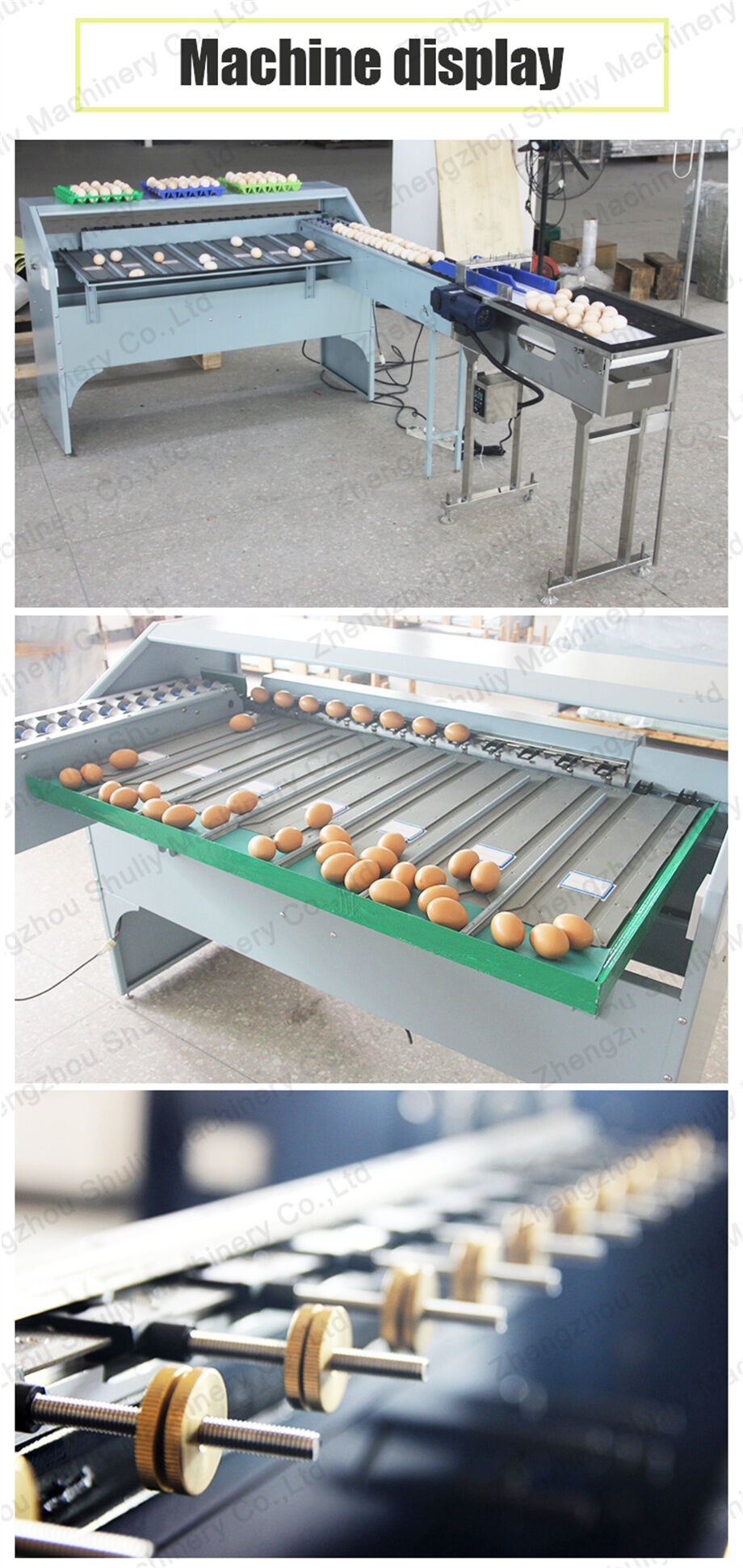 Automatic Egg Sorting Machine/egg Grading Machine/egg Processing ...