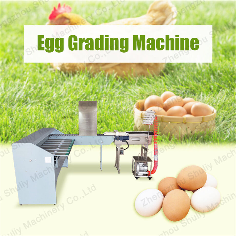 Automatic Egg Sorting Machine/egg Grading Machine/egg Processing Machine With Low Price, Egg ...