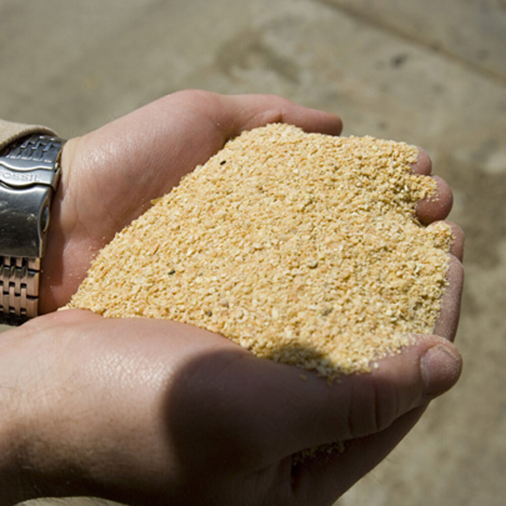 Buy Germany Wholesale Organic Soybean Meal, Soybean Meal Animal Feed ...