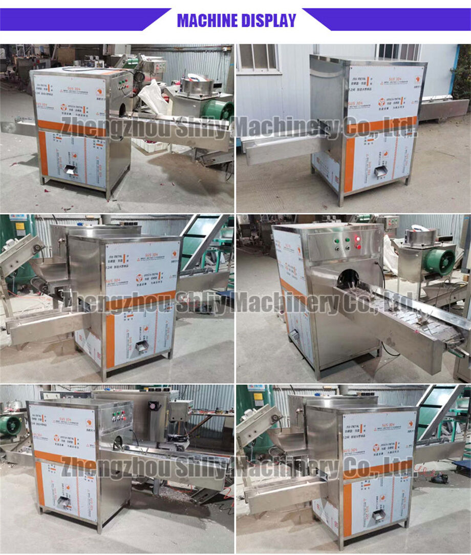 Automatic Onion Root And Stem Cutting Machine Onion Peeling And Root ...