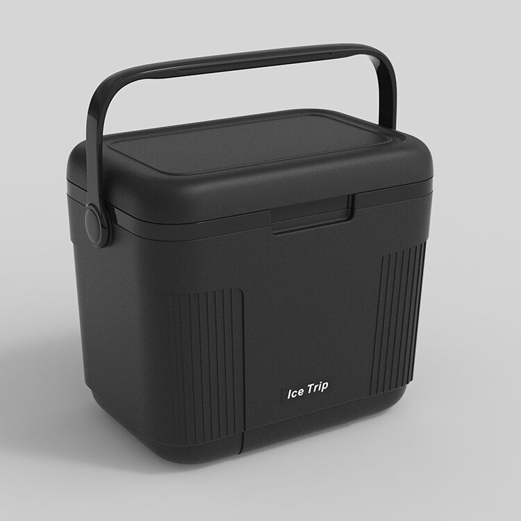 Portable Cooler Small Fridge Refrigerator Student Dormitory Cooling Box ...