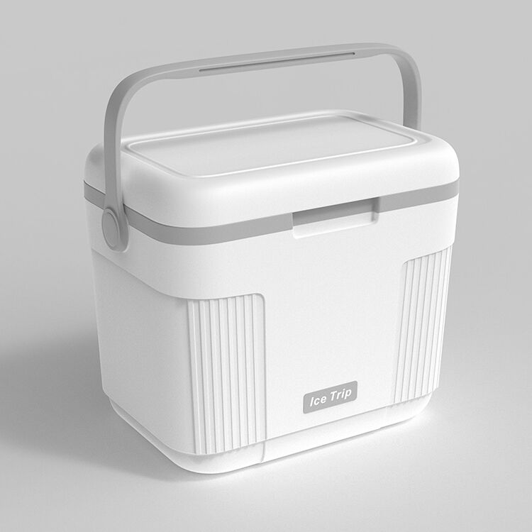 Portable Cooler Small Fridge Refrigerator Student Dormitory Cooling Box ...