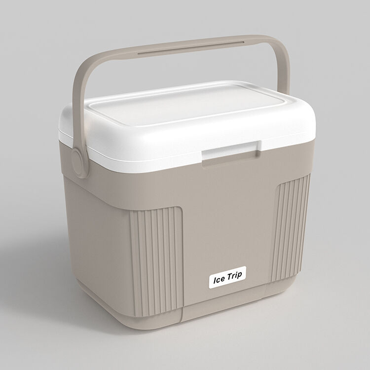 Portable Cooler Small Fridge Refrigerator Student Dormitory Cooling Box ...