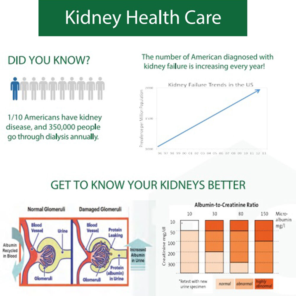 Kidney Health Care Measurement Of Albumin-to-creatinine Ratio(acr ...