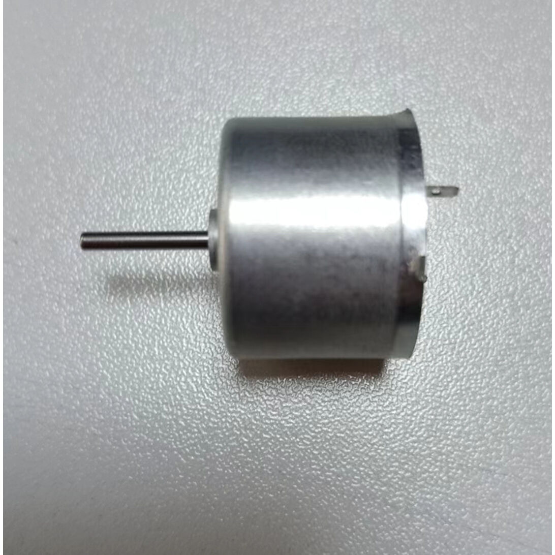 Factory Direct High Quality China Wholesale Dc Engine 310 Micro Dc ...