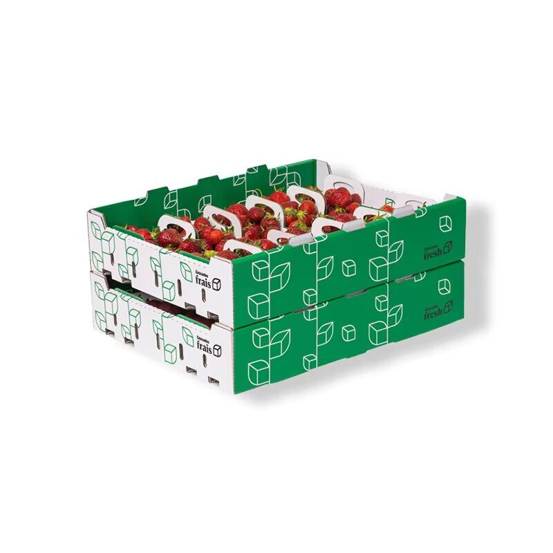 Packaging Cardboard Shipping Box Tomato Fresh Fruit Double Wall ...