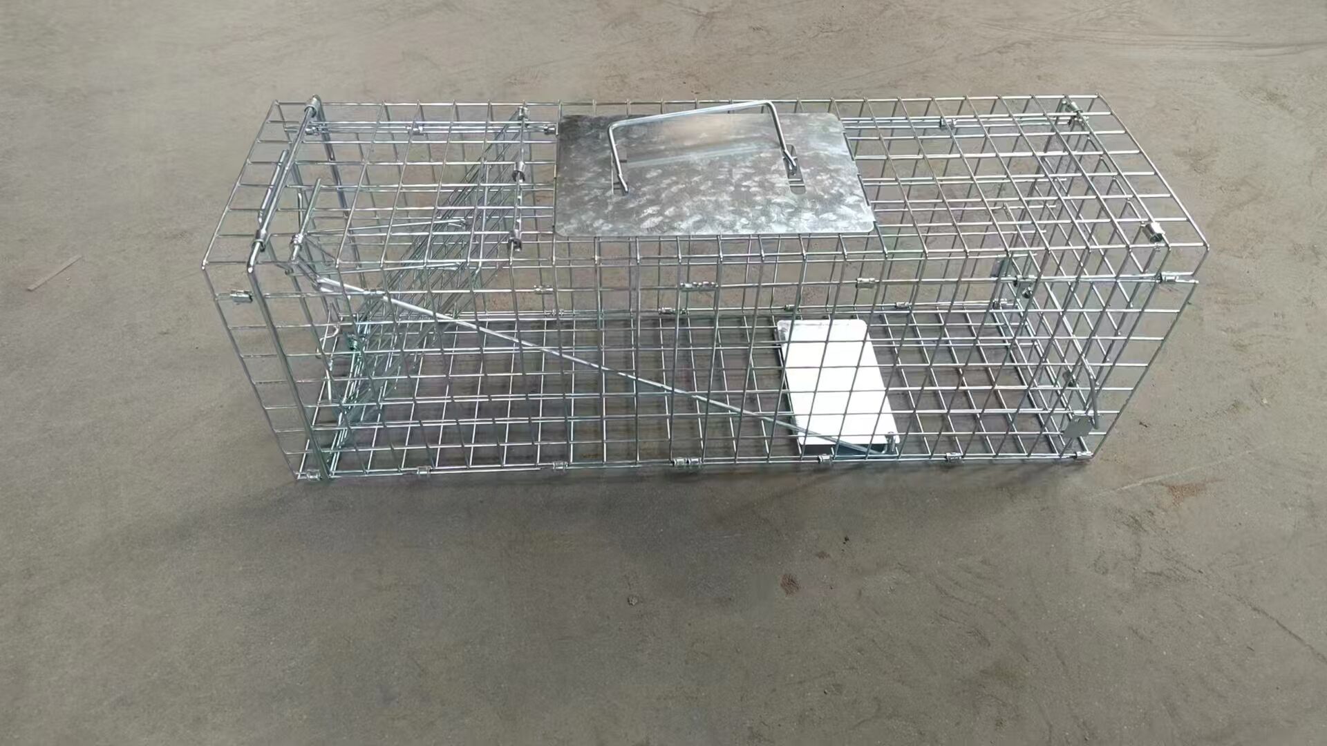 Buy China Wholesale Heavy Duty Live Animal Trap Cage Collapsible ...