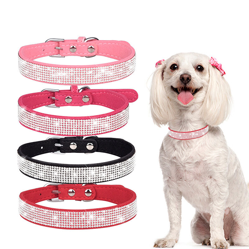 Factory Direct High Quality China Wholesale Customizable Pet Dog ...
