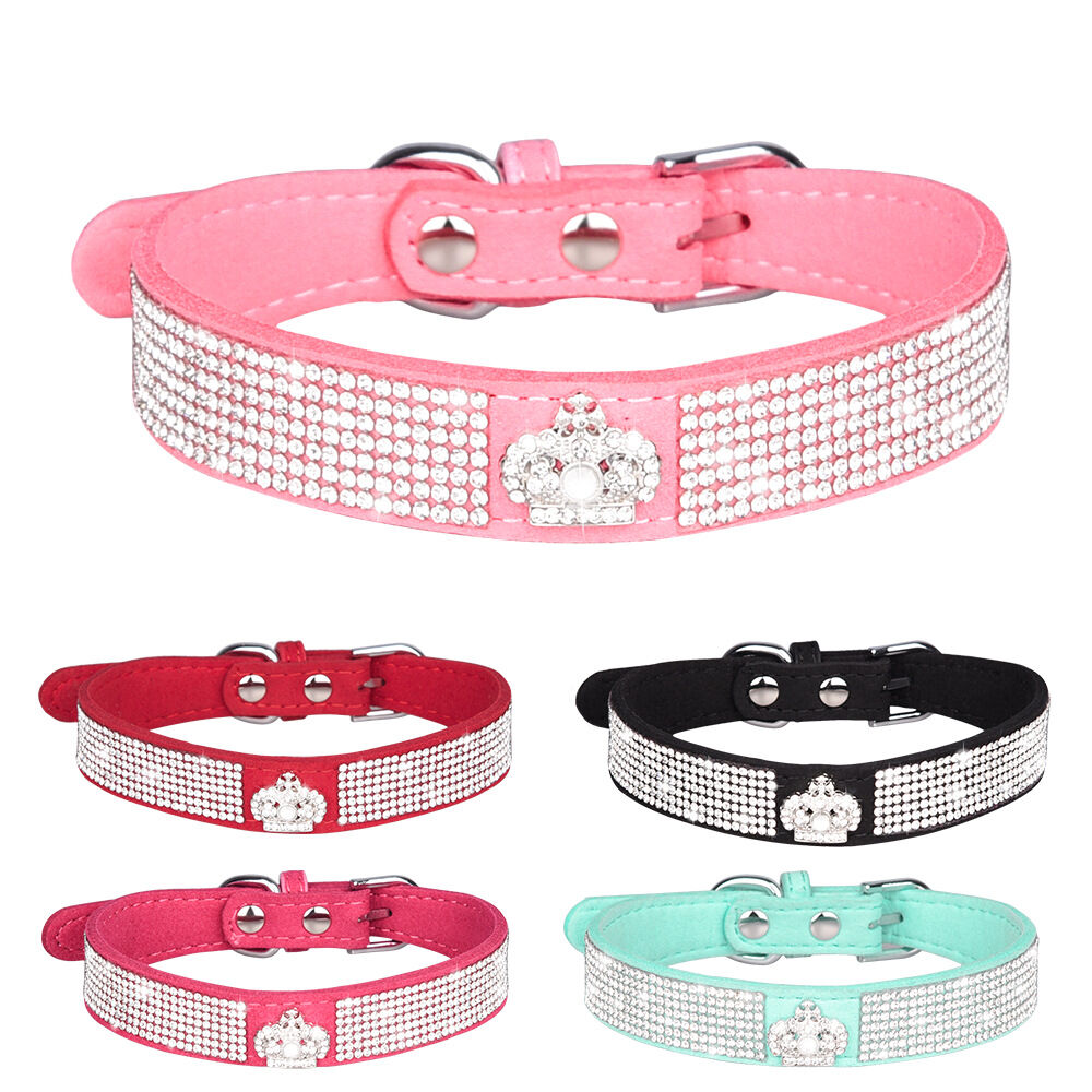 2025 New Style Shiny Dog Collars Custom Dog's Name For Diamond Bow-knot ...