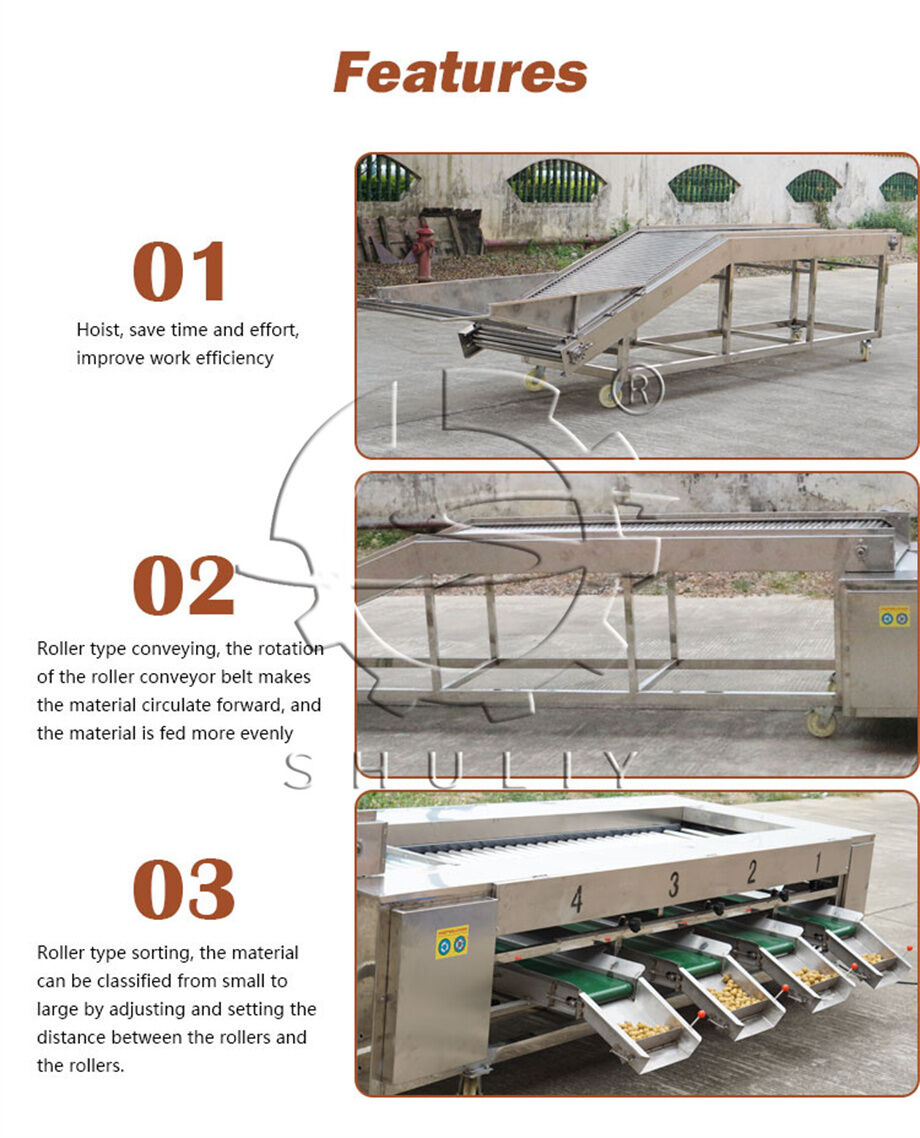 Buy China Wholesale Good Effect Longan Sorting Machine Fruit Grader For ...