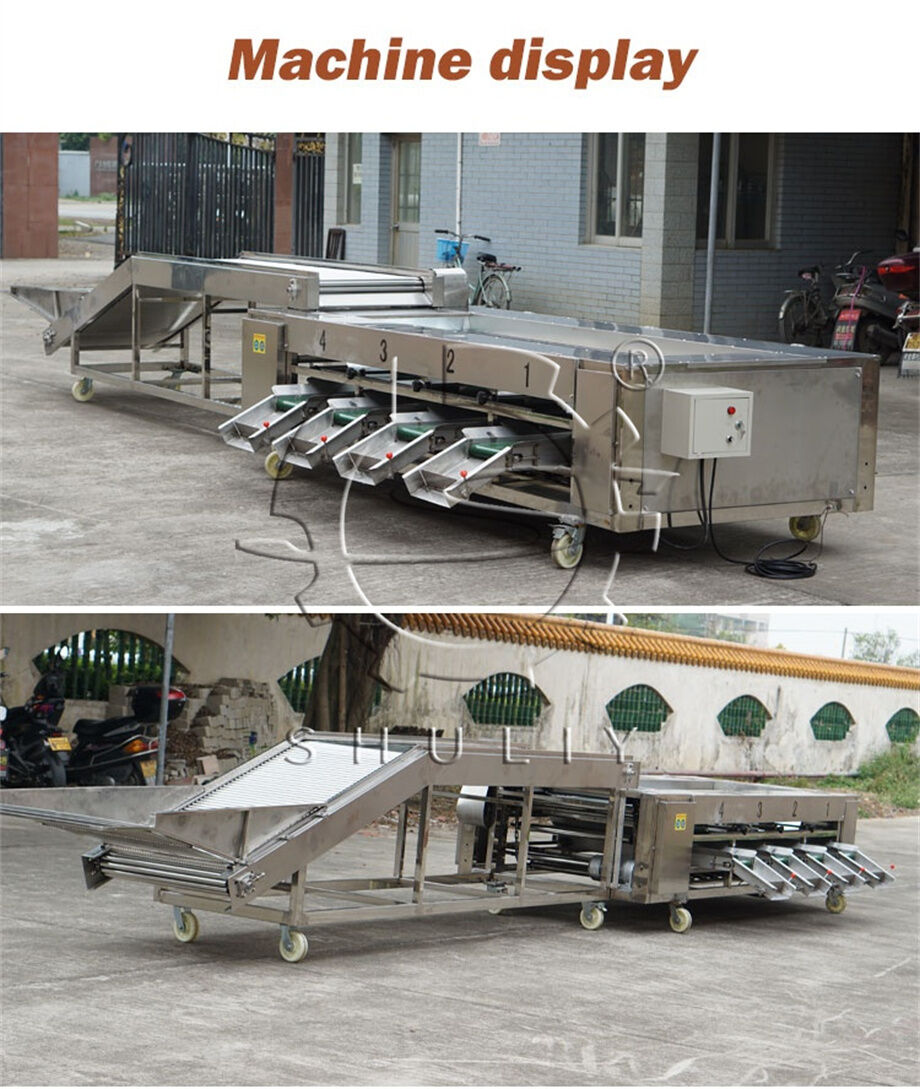 Buy China Wholesale Good Effect Longan Sorting Machine Fruit Grader For ...