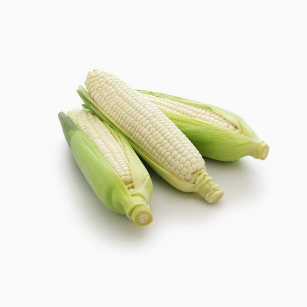 Bulk White Corn At Discounted Wholesale Rates For Food Manufacturers ...