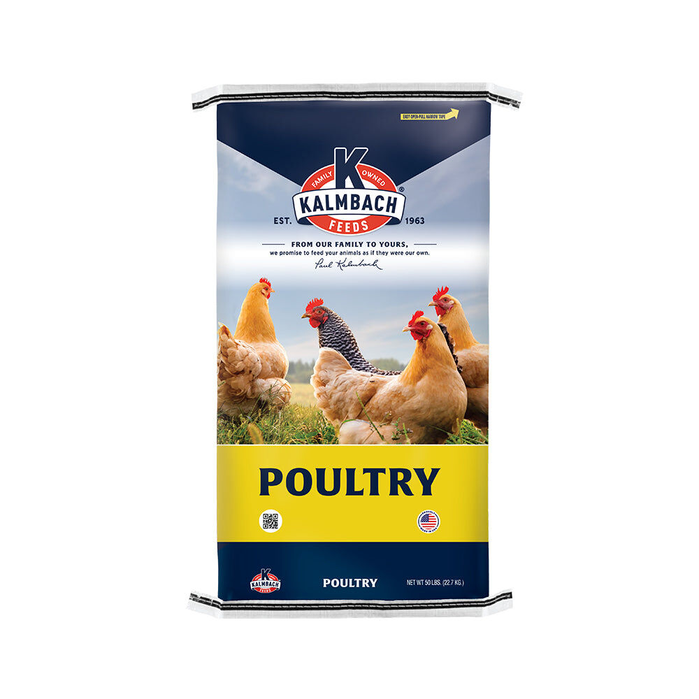 Factory Direct High Quality South Africa Wholesale Chicken Concentrate ...