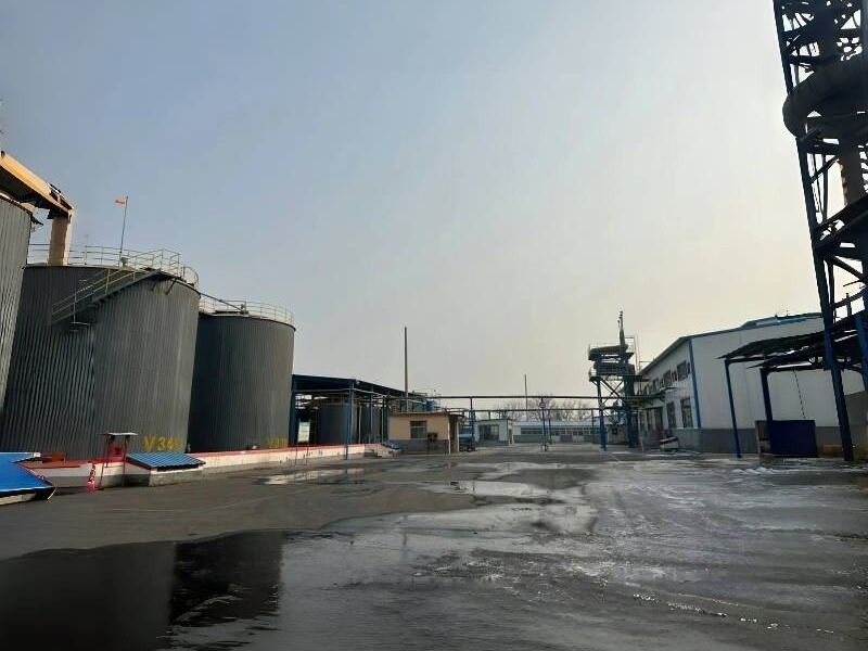 Factory Price 99.5% Purity Sebacic Acid Cas 111-20-6 Industrial Grade ...