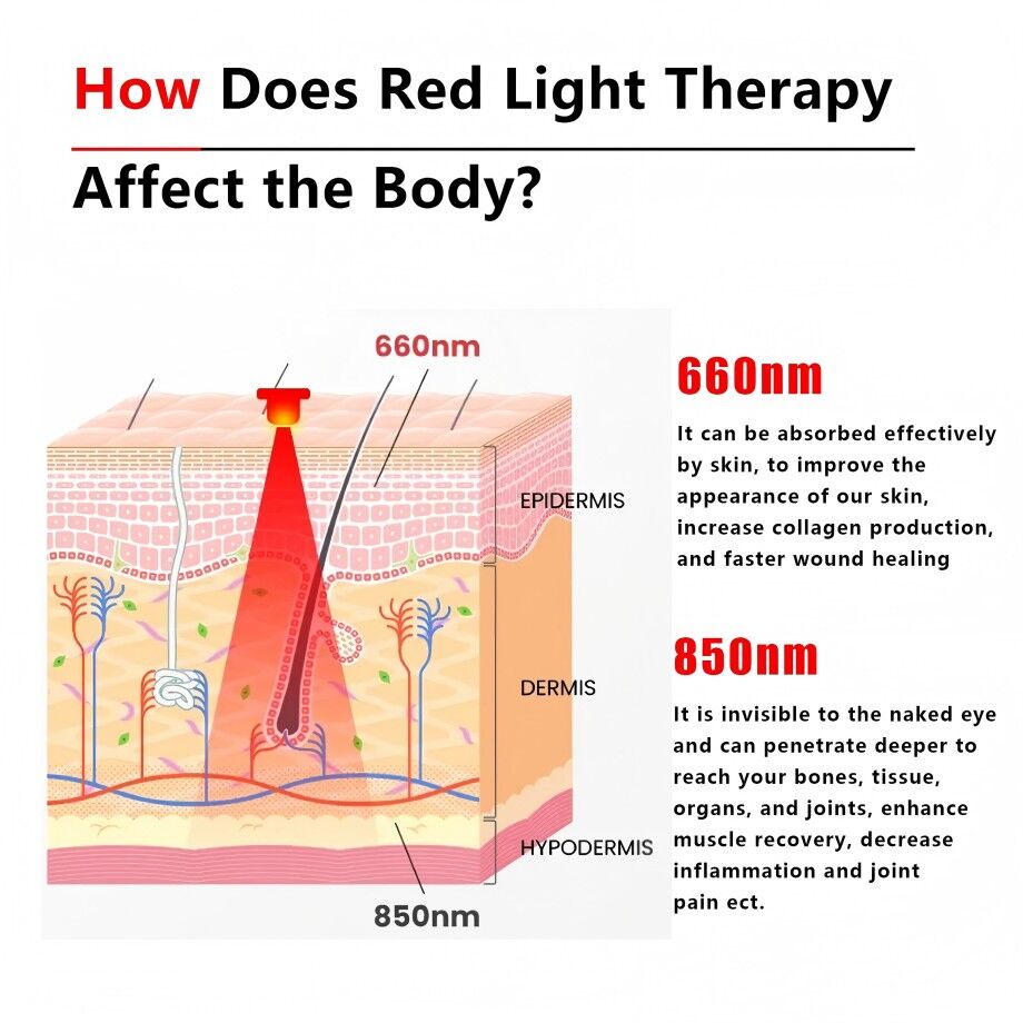 Wholesale Red Infrared Light Therapy Lamp With Stand Led 660nm Red ...