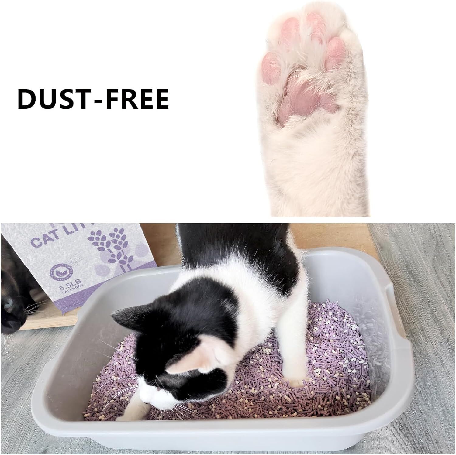 Tofu Cat Litter, Dust-free Kitty Litter, Fast Drying, Ultra Absorbent ...
