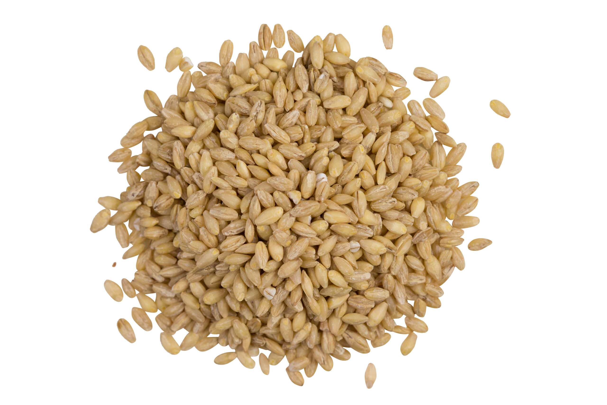 100% Malt Barley, Hulled Barley, Pearl Barley For Sale Animal Feed And ...