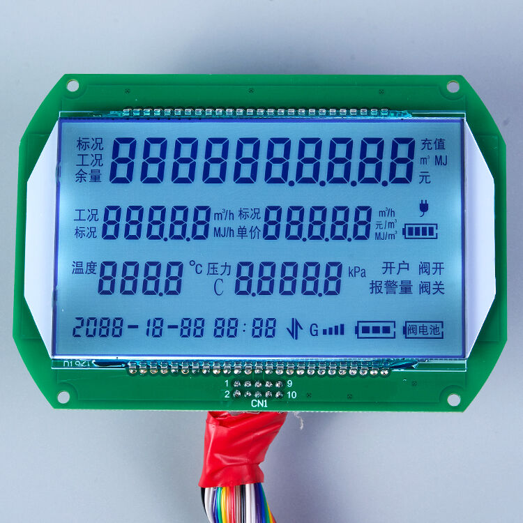 20 Years Cheap Custom Lcd Display Cob Fstn / Positif Segment Lcd Touch Screen Custom Lcd Display ...
