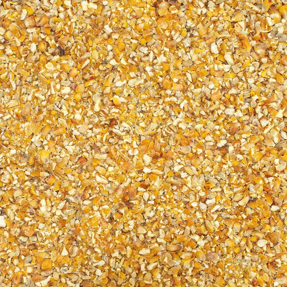 Hot Sale Dried Broken Maize Grits From Trusted Supplier Ken Yellow ...