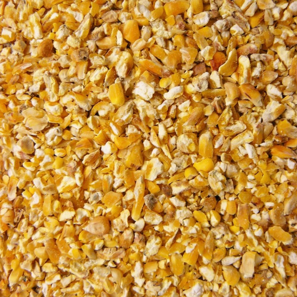 Hot Sale Dried Broken Maize Grits From Trusted Supplier Ken Yellow ...