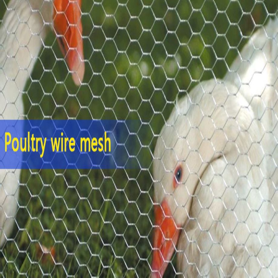 Hexagonal Pvc Coated Hexagonal Wire Mesh Chicken Wire Netting Fencing ...