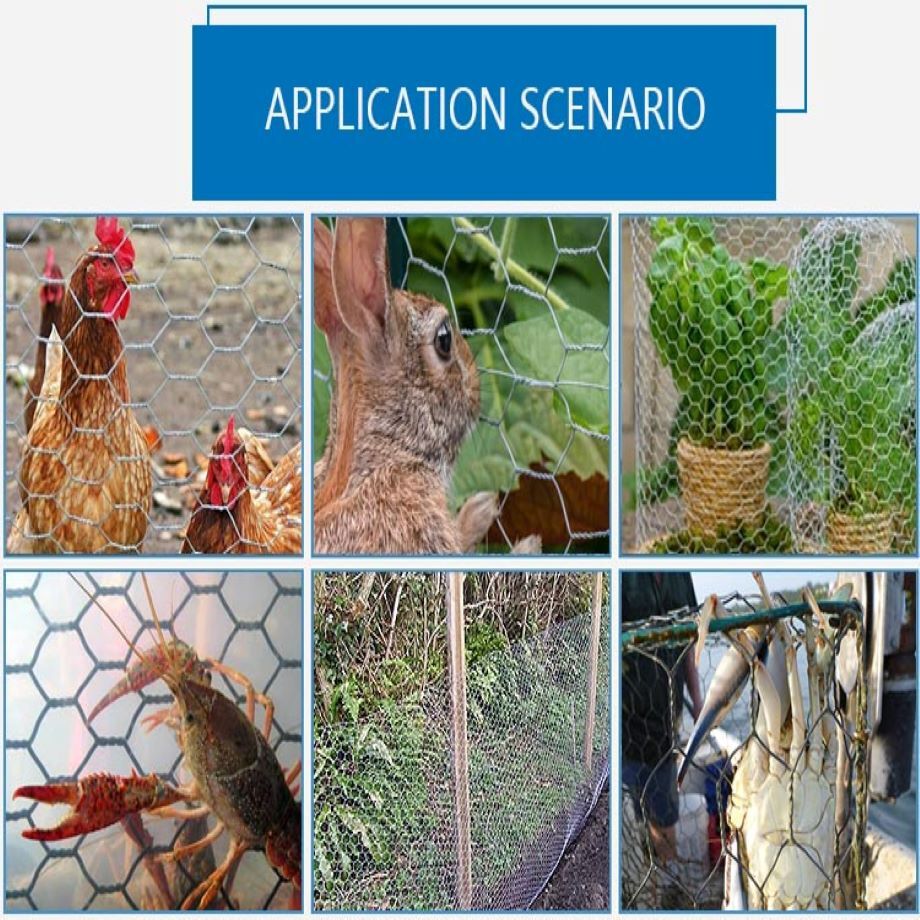 Hexagonal Pvc Coated Hexagonal Wire Mesh Chicken Wire Netting Fencing ...