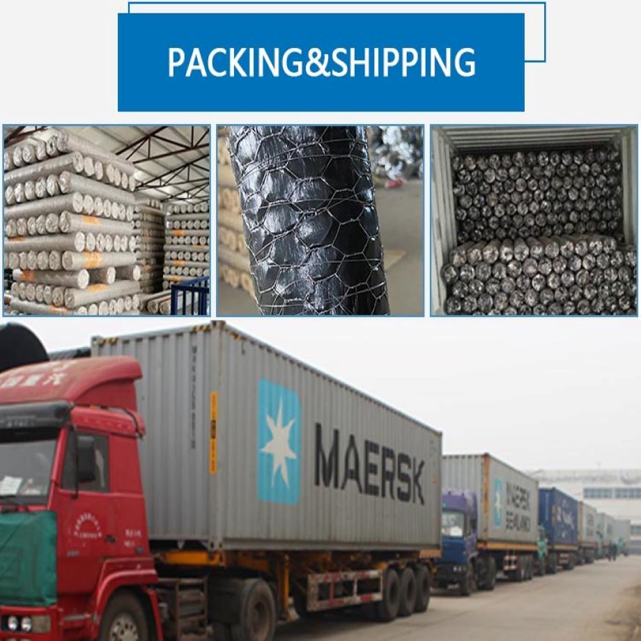 Hexagonal Pvc Coated Hexagonal Wire Mesh Chicken Wire Netting Fencing ...