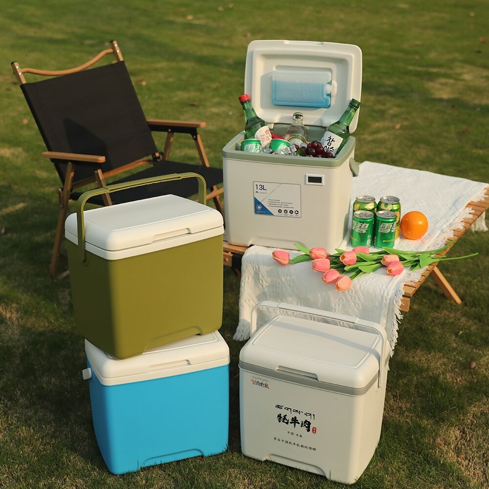 13l Portable Cold Chain Carrier Compact Size Freezer Plastic Cooler Box ...