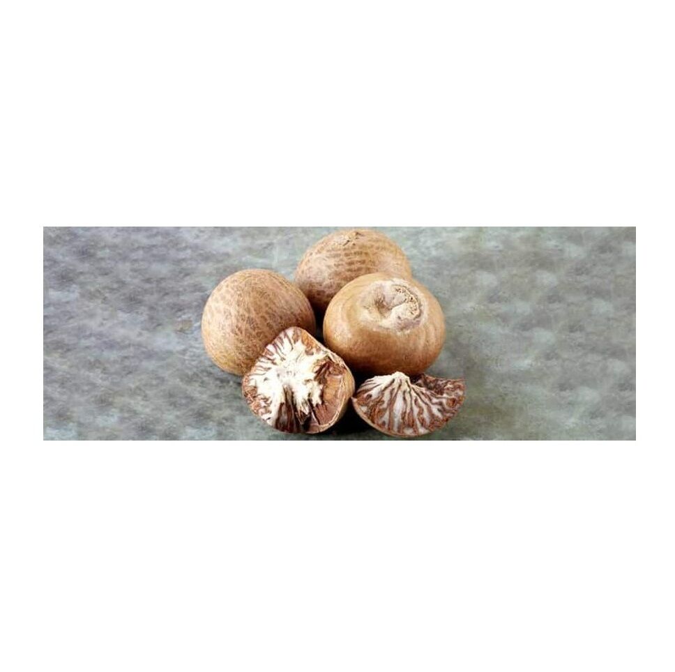 Hot Selling Price Dried Betel Nuts In Bulk - United States Wholesale ...