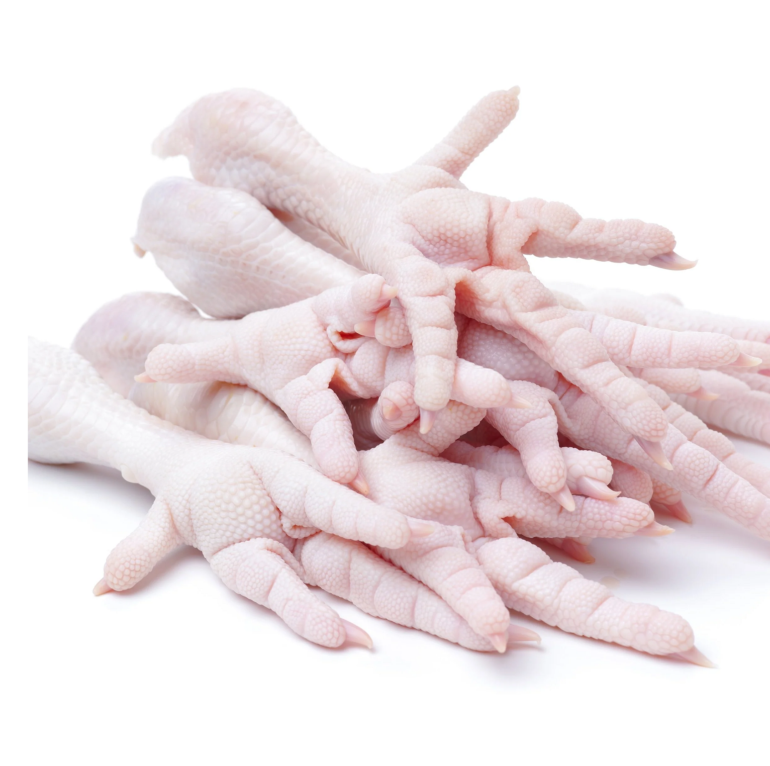 Best Quality Hot Sale Price Halal Frozen Chicken Feet | Frozen Chicken ...