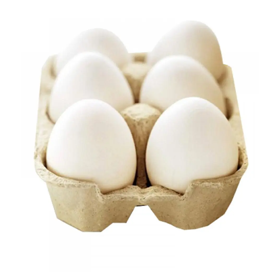 Buy United States Wholesale Top Quality Pure White / Brown Shell Fresh ...