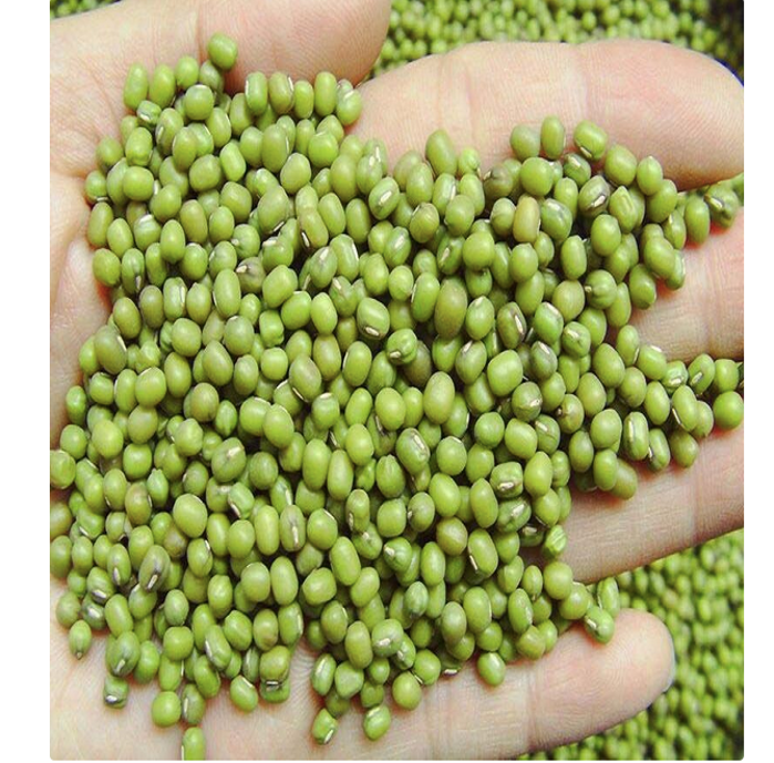 Buy France Wholesale Wholesale Dried Mung Beans For Sale Bulk Natural ...