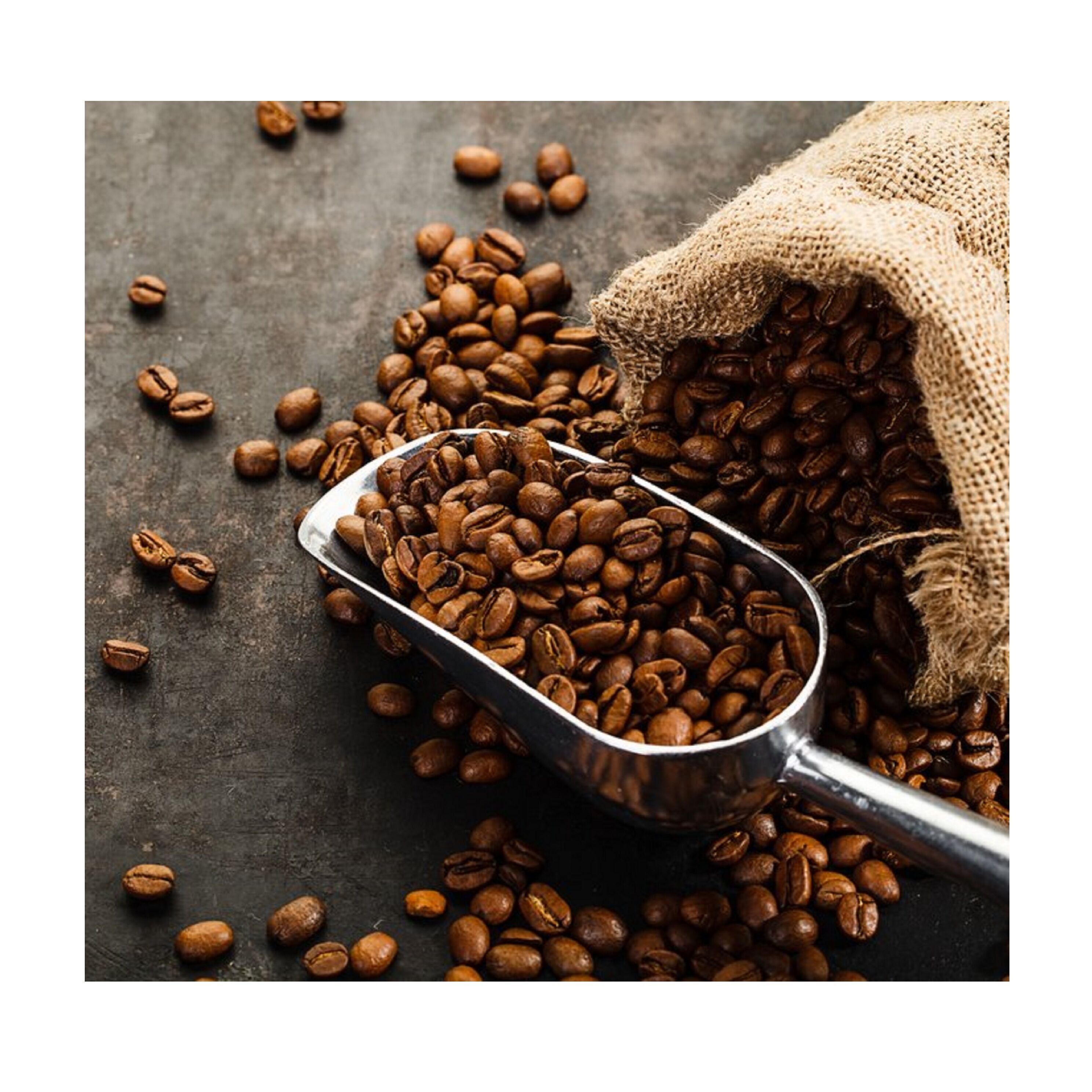 100% Top Quality Roasted Arabica Coffee Bean Best Roasted Coffee Beans ...