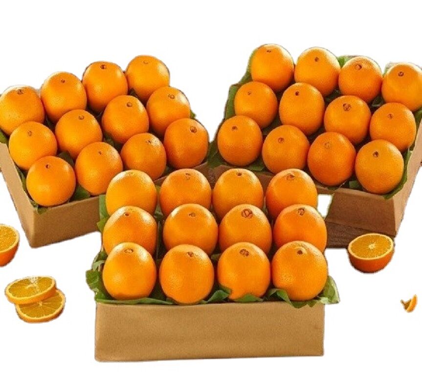Healthy Fresh Citrus Fruit | Fresh Valencia Orange/ Navel Orange ...