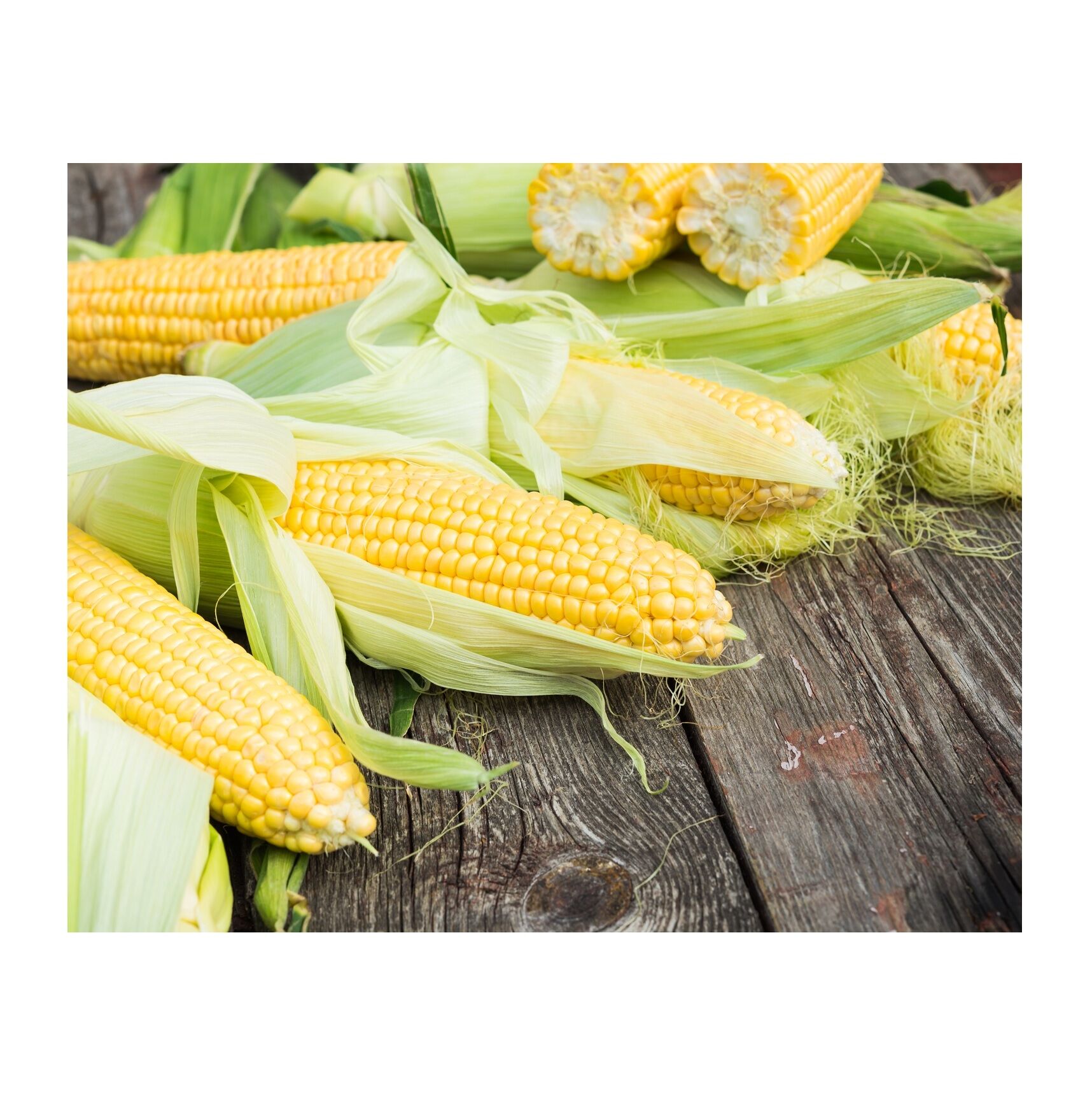 Buy United States Wholesale Yellow Corn Maize - Wholesale Sweet Yellow ...