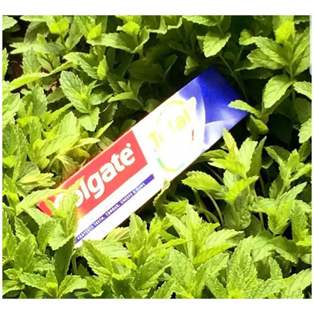 Factory Direct High Quality Germany Wholesale Original Colgate ...