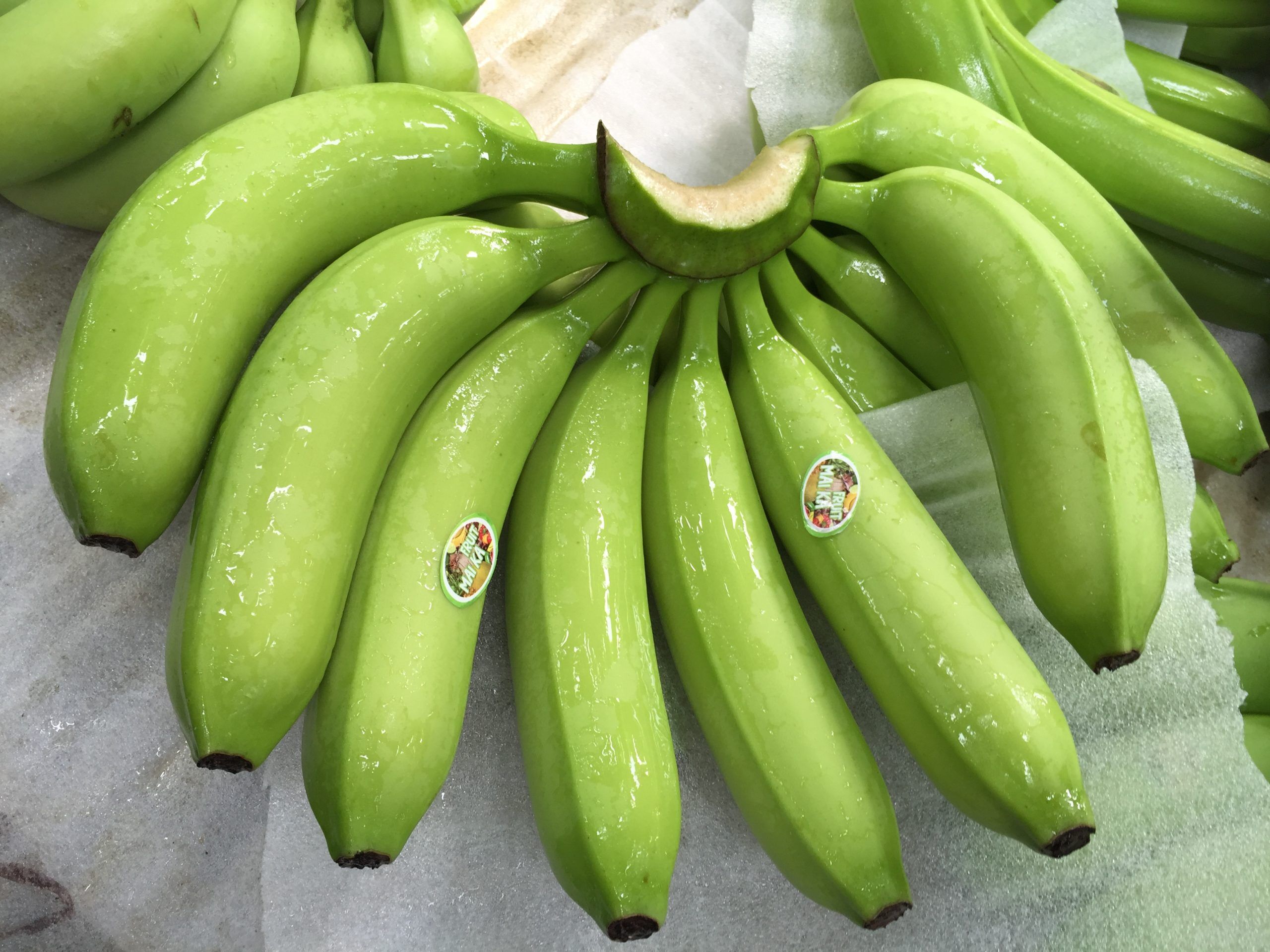 High Quality Fresh Cavendish Bananas Green Premium India Tropical ...