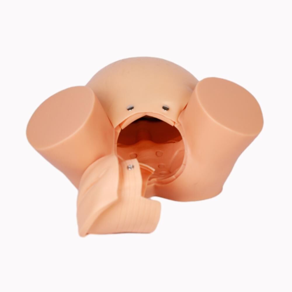 Bulk Buy China Wholesale Delivery Midwifery Demonstration Human Patient ...