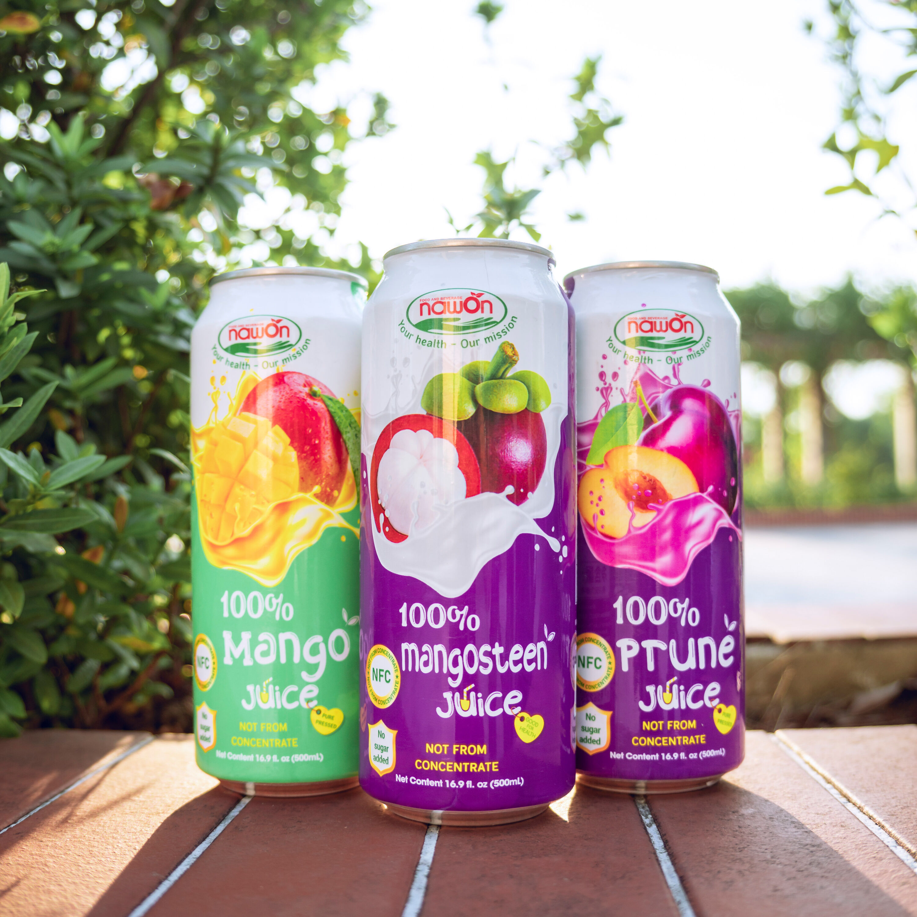Top Product Nawon In Vietnam Tropical Fruit Juice Can 330ml Factory Gmp ...