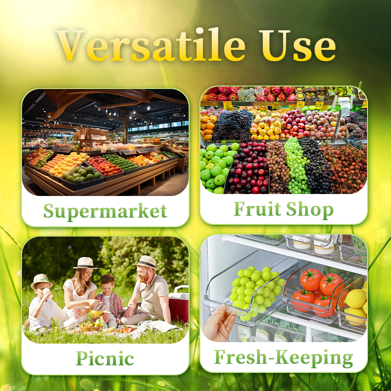 16oz Pet Fruit Box Plastic Pet Cherry Tomatoes Container Disposable ...
