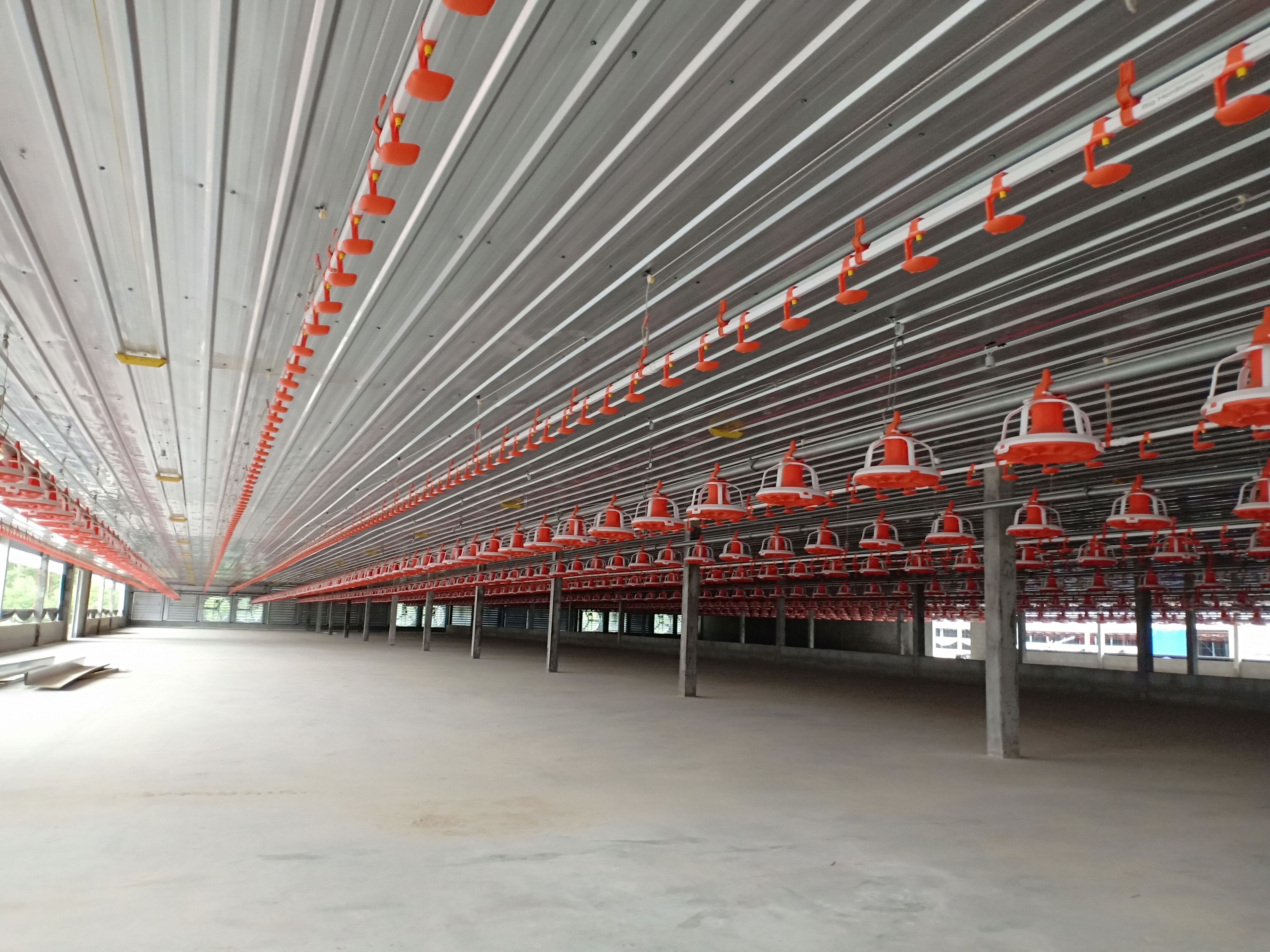 Buy China Wholesale Economic High Strength Steel Structure For Poultry ...