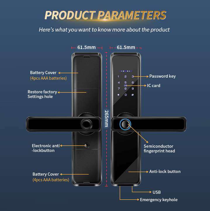 Doorbell Tuya Fingerprint Electric Door Lock With Remote Control With ...