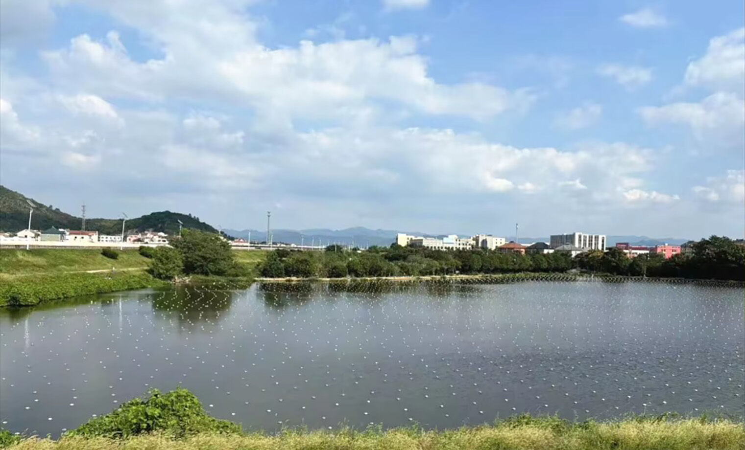 12mm White Multicolor Round Shell Pearl Necklaces For Women - Buy China ...