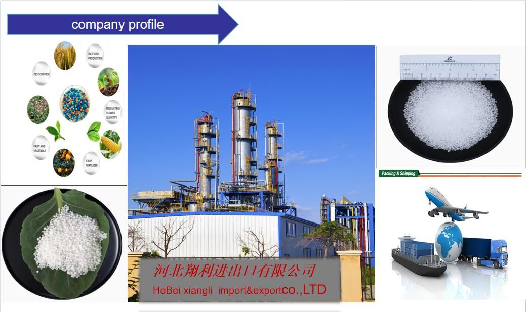 Compound Fertilizer Npk 15-15-15 +te In Trace Elements, Npk 15-15-15 ...