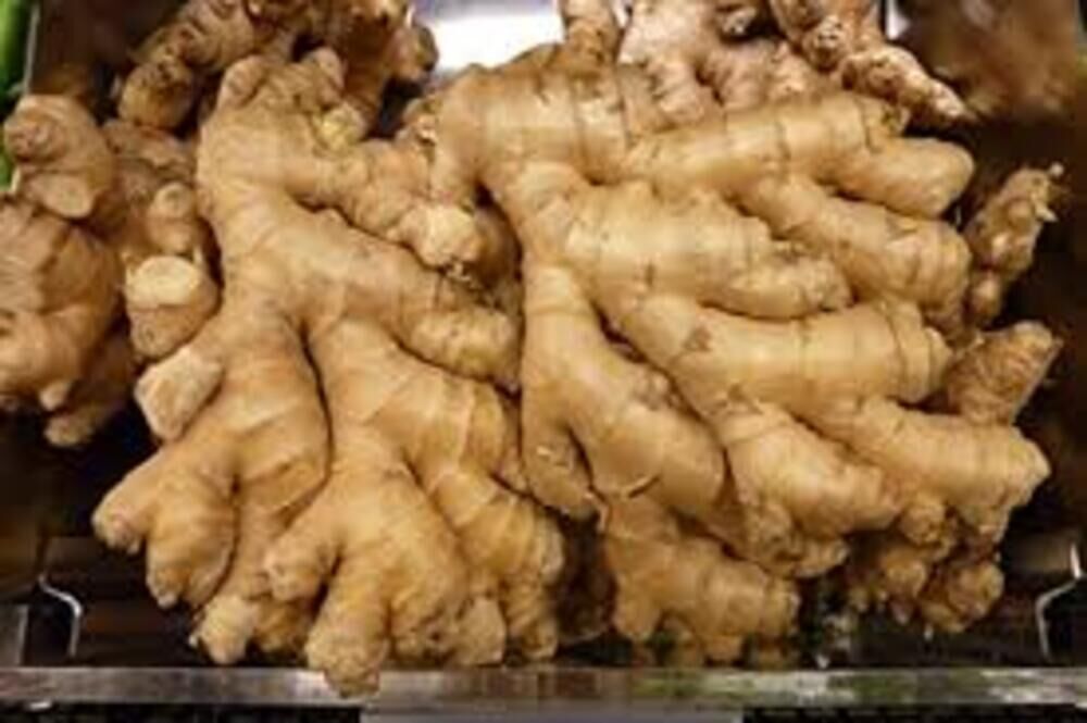 Fresh Ginger Market Price Per Ton Wholesale Ginger Buyers For Buy Dried ...